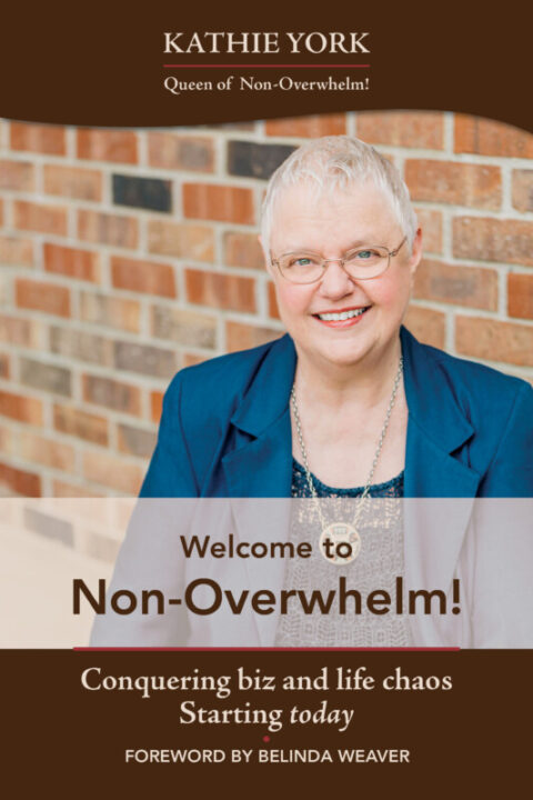 "Welcome to Non-Overwhelm!" book - Kathie York