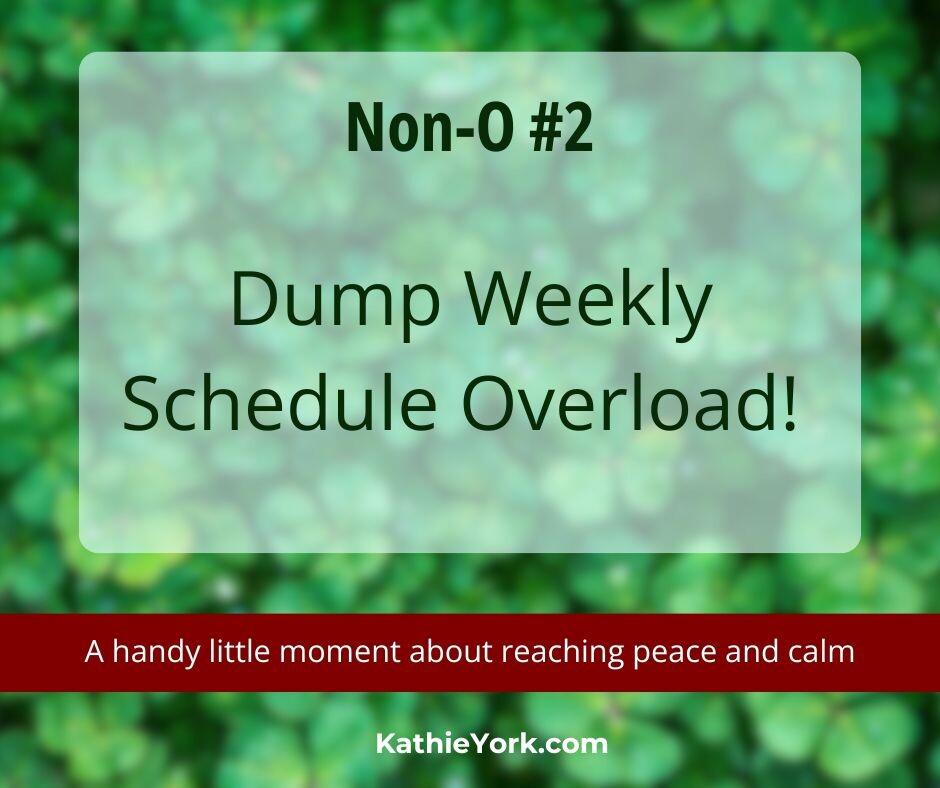 [Non-O moment #2] Dumping weekly schedule overload! - Kathie York
